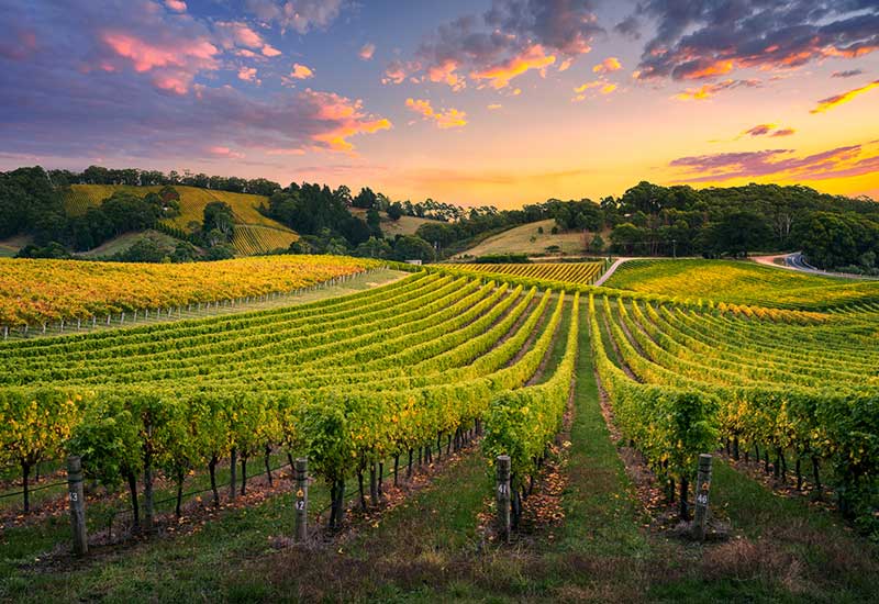 Paso Robles Taste & See – includes Sensorio - Best Tours & Travel